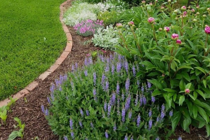 Előkert kialakítása - Agrárkapu